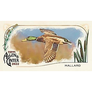 2022 Topps Allen & Ginter Baseball Factory Sealed 24-Pack Retail Box - 144 Trading Cards per Box!! Y