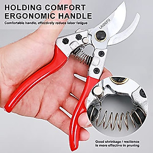 Garden clippers, Pruners for Gardening, pruning shears, gardening tools, for trimming rose, floral, tree, plants, sharp garden scissors, arthritis weak hand snips.