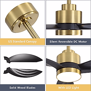 ELEHINSER 64" Wood Ceiling Fan with Lights and Remote Control, 3 Blades 6-Speed Reversible DC Motor Ceiling fan for Kitchen Bedroom Dining Living Room, Black Wood Blades with Gold