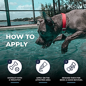 Bulldog Hot Spot Treatment 2Oz-Wound Care Ointment w/Silver & Honey-French Bulldog Itch Relief for Allergy,English Bulldog Lotion for Dry Skin and Healing Balm-Skin Soother for Dog-Lotion for Dry Skin