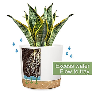 DEMACIYA 8 Inch Plant Pots, 2Pack Planters for Indoor Plants with Drainage Holes and Removable Base, Saucer Modern Decorative for Outdoor Garden Planters