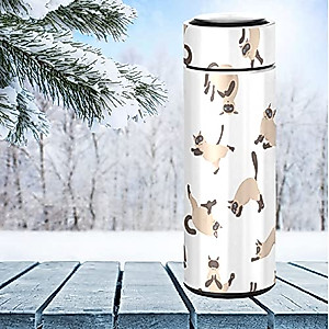 CaTaKu Funny Animals Cat Water Bottle Insulated 16 oz Stainless Steel Flask Thermos Bottle for Coffee Water Drink Reusable Wide Mouth Vacuum Travel Mug Cup