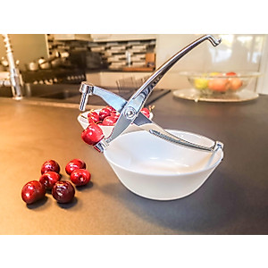 ProTensils Cherry Pitter Tool Pit Remover with Locking Mechanism | Cherry Picker | Cherry Seed Remover for Baking, Olive Pitter Kitchen Accessories | Cherry Pitter Machine for Making Cherry Dishes