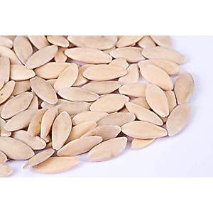 Bentley Seed Co. Set of 40 Vegetable Seeds for Planting - Gardening Seeds to Grow in a Garden or Indoors - Get your own Seeds for Planting Vegetables - Herb Seeds - Garden Seeds Vegetable Variety Pack