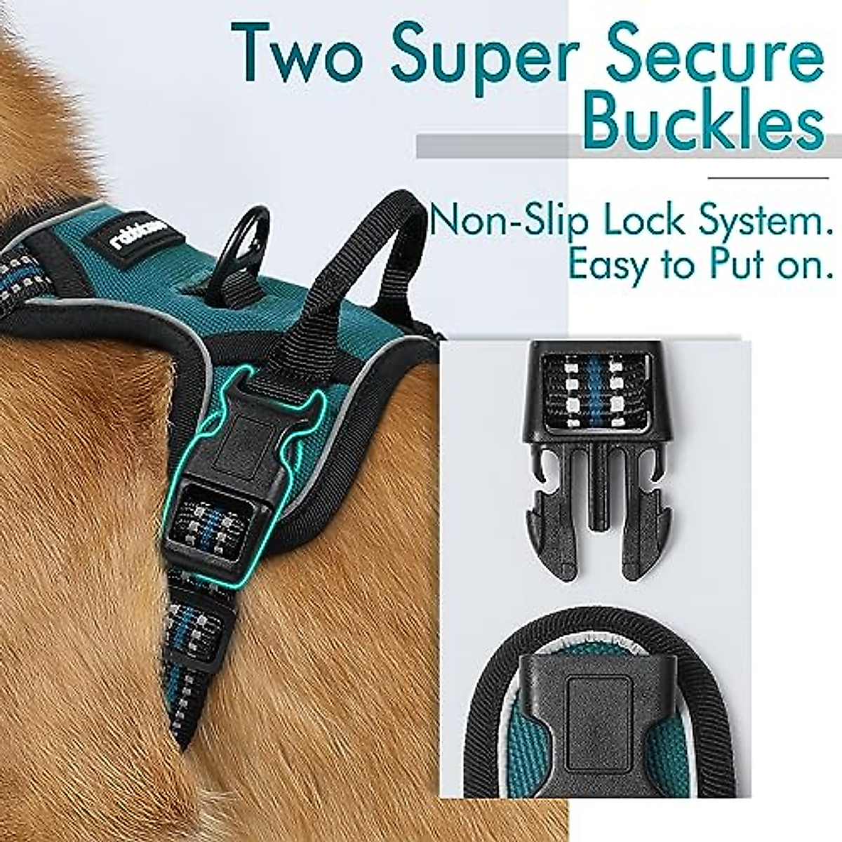 rabbitgoo Dog Harness, No-Pull Pet Harness with 2 Leash Clips, Adjustable Soft Padded Dog Vest, Reflective No-Choke Pet Oxford Vest with Easy Control Handle for Small Dogs, Blue Coral, XS