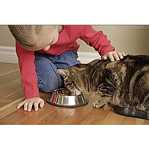 Fancy Feast Broths for Cats Variety Pack Bundle / 12 Pouches Total /2 Cat Nip Mouse Toys & Your Lifestyle Merchant Measuring Spoon