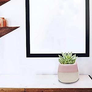 Happyyami 6Pcs Thumb Ceramic Planter Ceramic owl Pot Mini Succulent Pot Floral Ceramic vase Lovely Flower Pots air Plants Vases Plant Pot Mini vase Desktop Decorations Ceramics Brush Holder