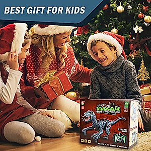 Remote Control Dinosaur Toys Kids - Jurassic Velociraptor Toys Imitates Walking and Sounds - Dinosaurs Toys for Boys Girls 3-5 +, Robot Toys That Can Sing, Shaking Head and Tail in Kids' Electronics