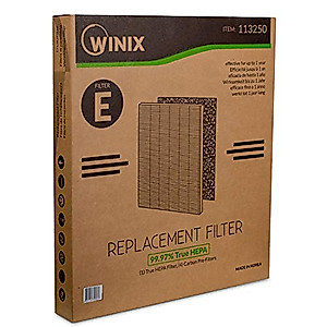 Genuine Winix 113250 Replacement Filter E for P450, White/Black