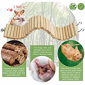 Hamster Bridge Suspension Ladder Rat Rainbow Long Bridge Wooden Climbing Ladder Bridge Chew Toys for Dwarf Syrian Hamster Mice Mouse Gerbils(2 PCS)