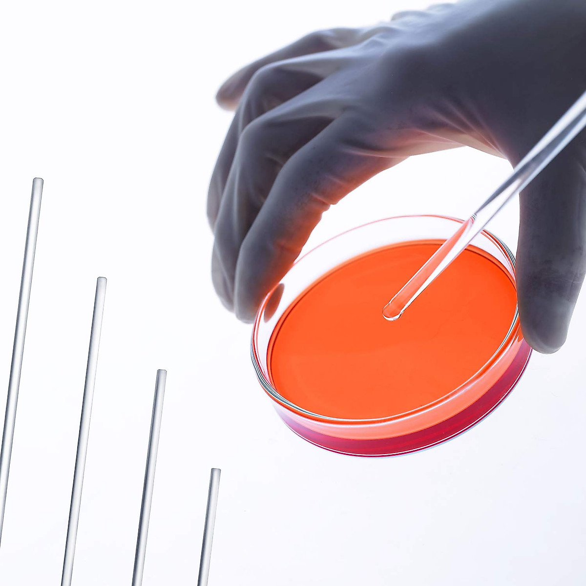 Young4us Glass Stirring Rod - 12" 10" 8" 6" 4" Long, 5 MM Diameter - 5 Pack