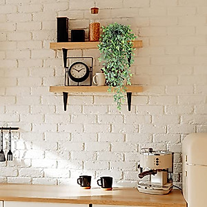 JPSOR Fake Hanging Plants, 2 Pack Artificial Fake Potted Greenery Faux Eucalyptus Mandala Vine in Pot for Home Wall Shelf Indoor Outdoor Decor