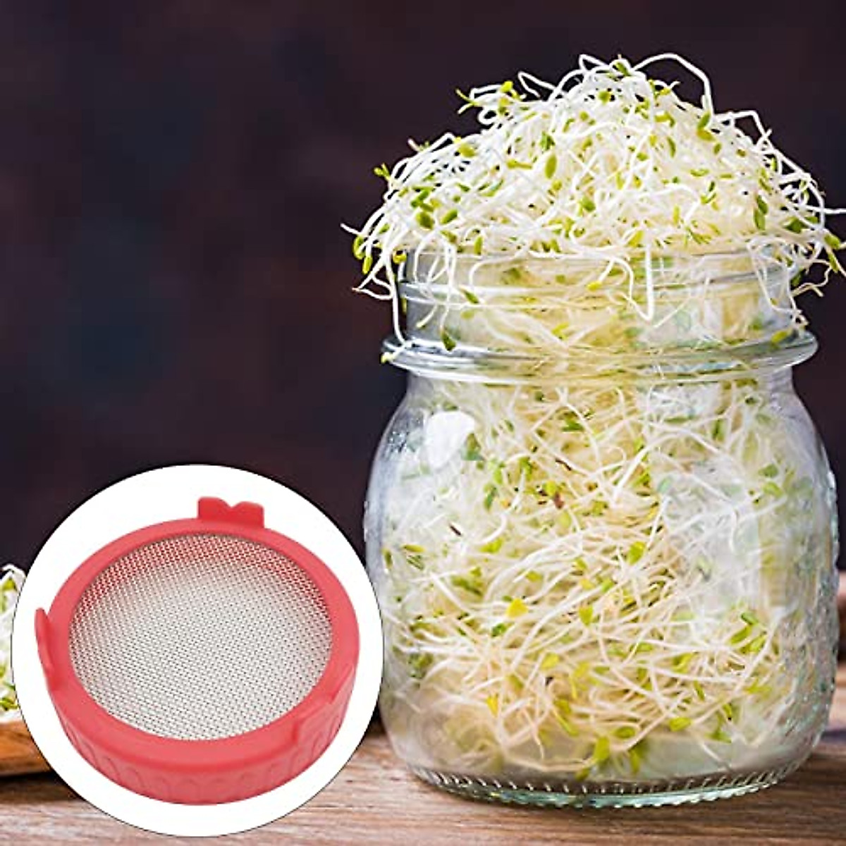 BAIRONG Mason Jar Screen Lids for Sprouting | Wide Mouth Mason Jars Lids | Alfalfa and Mung Bean Sprouts, Stainless Steel Mesh Screen Jar Strainer Sprout Lid for Broccoli Seeds, Alfalfa Adj