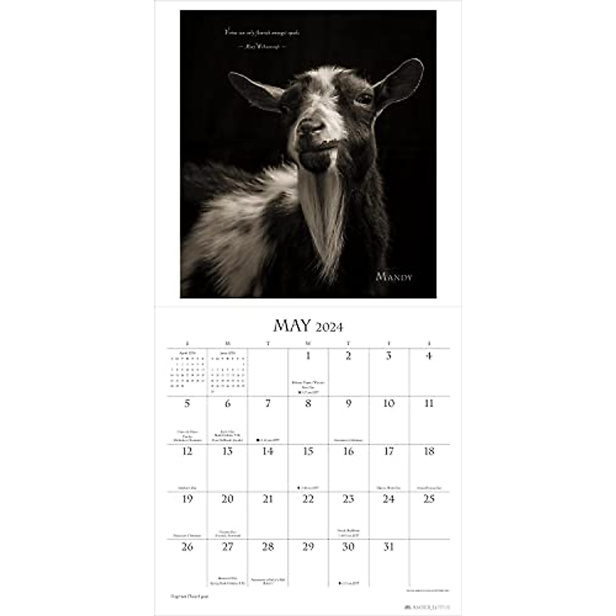I Am Goat 2024 Wall Calendar: Animal Portrait Photography by Kevin Horan and Wisdom From Nature's Philosophers | 12" x 24" Open | Amber Lotus Publishing