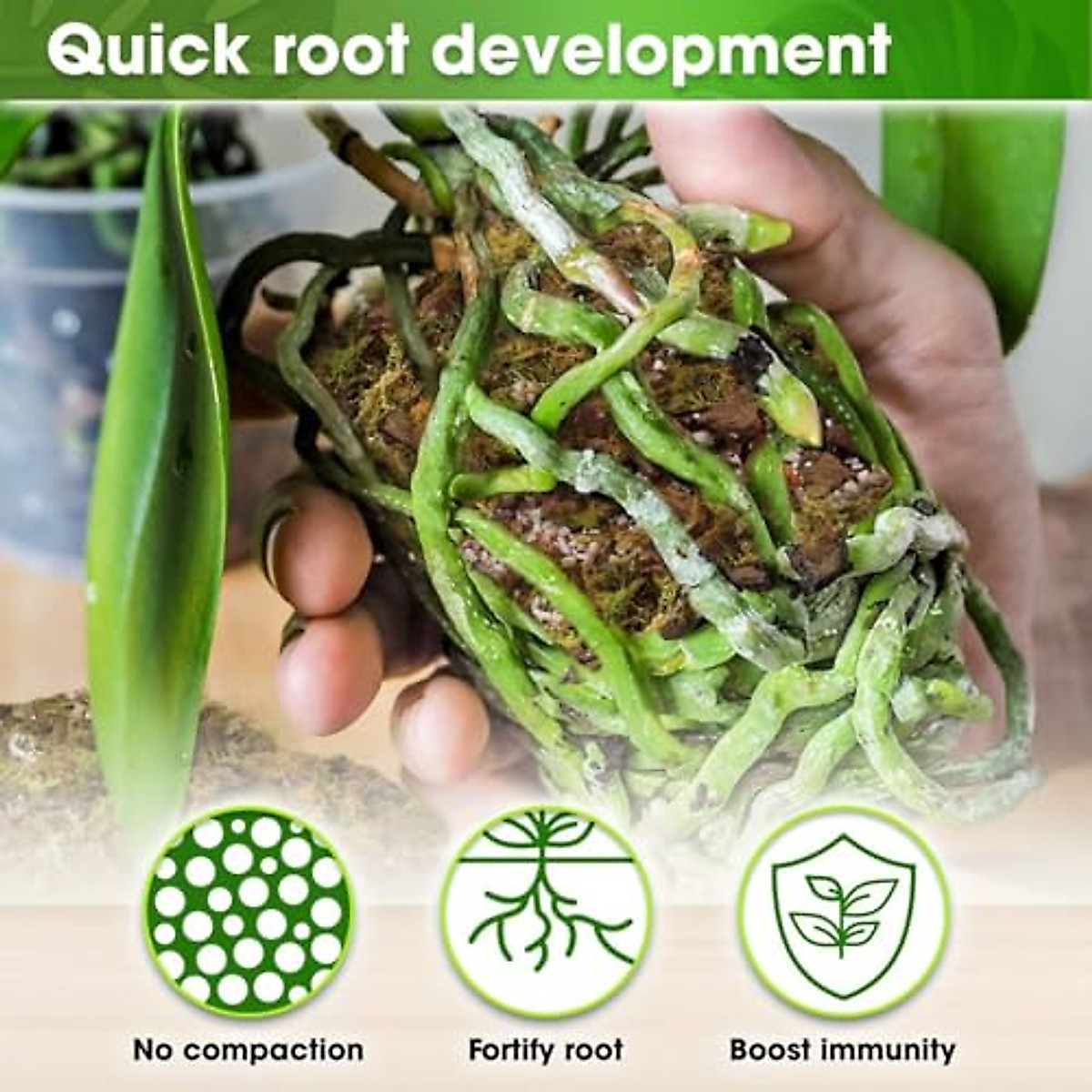 DUSPRO 4QT Orchid Potting Mix for Repotting with Moss Pine Bark Mulch Perlite Stone & Coco Peat Natural Ingredients, Orchid Bark Potting Mix, Orchid Repotting Kit Drainage Indoor Potting Medium Great