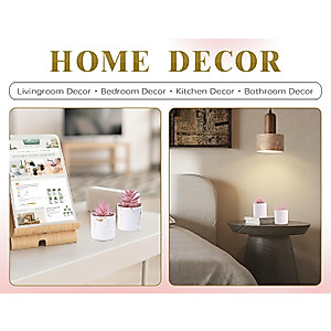 Der Rose 4 Packs Fake Plants Artificial Plants Indoor for Home Office Desk Accessories for Women