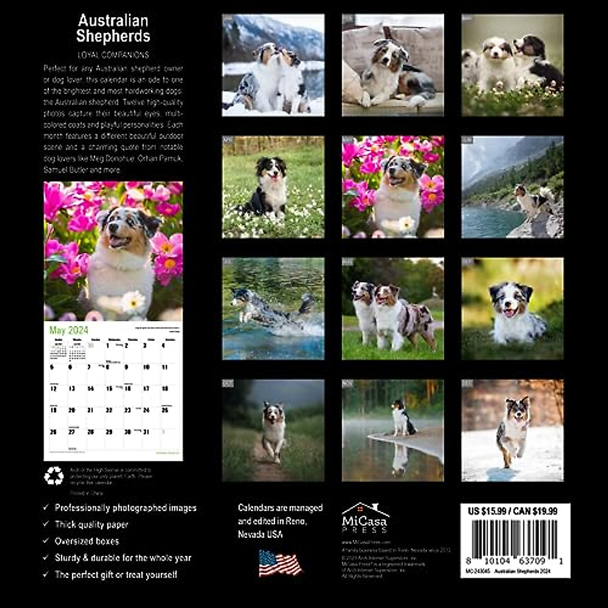 MICASA Australian Shepherds 2024 Wall Calendar 12 Month | 12" x 24" Open | Thick & Sturdy Paper | Giftable | Calendar 2024