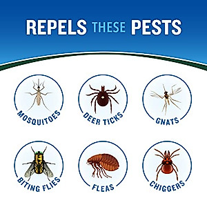 Cutter Backwoods Dry Insect Repellent, Mosquito Repellent, 25% DEET, Sweat Resistent, 4 Ounce (Aerosol Spray)