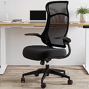 FLEXISPOT OC2 Comfy Office Chair Ergonomic Back Support Home Office Desk Chairs Comfortable Computer Chair with Flip-up Arm Rest Comfy Chair for Living Room/Bedroom/Study(Black)