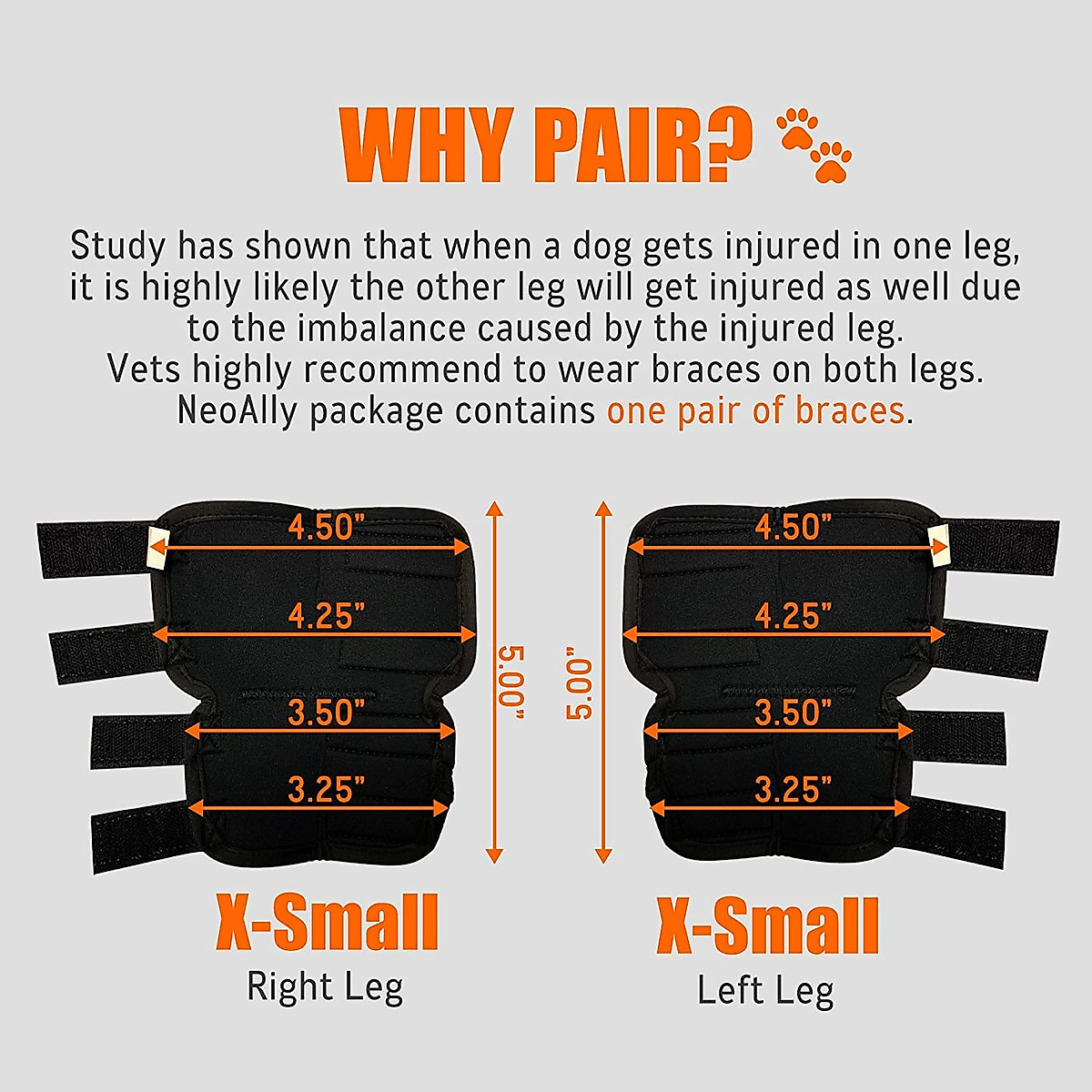 NeoAlly Pair Dog Rear Leg Brace Canine Rear Hock Joint Support with Safety Reflective Straps for Joint Injury and Sprain Protection, Wound Healing and Loss of Stability from Arthritis (M Pair)