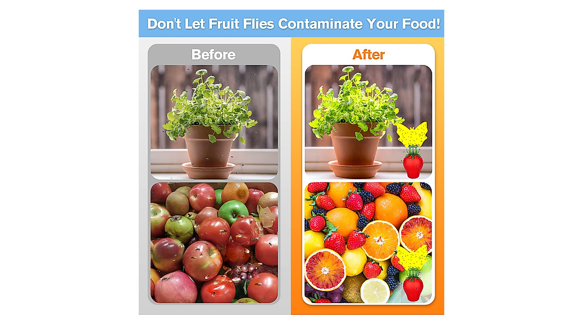 Fruit Fly Trap for Indoors,Effective Fruit Fly Killer Catcher Gnat Trap ...