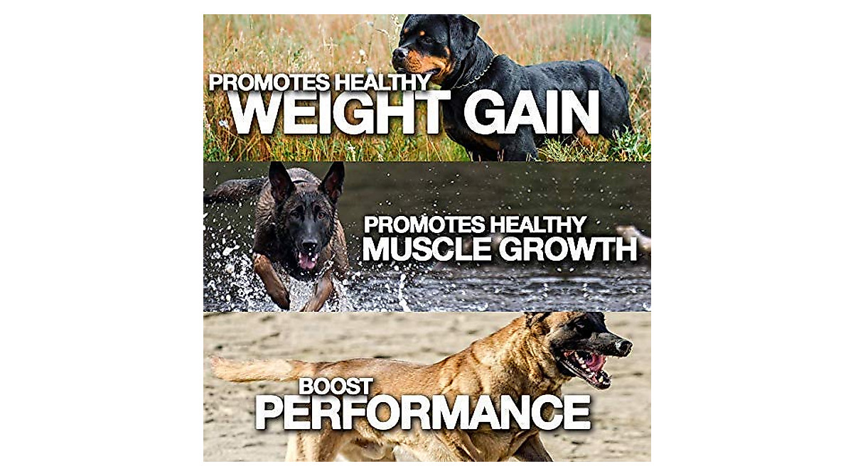 MVP K9 Mass Gainer for Dogs - Supports Healthy Weight & Muscle
