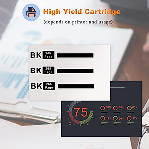 Run Star Remanufactured 3 Black 125 Ink Cartridge Replacement for Epson 125 T125 Black Work for Stylus NX125 NX127 NX130 NX230 NX530 NX420 NX625 Workforce 320 323 325 520 Printer