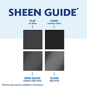 Rust-Oleum 249058 Painter's Touch 2X Ultra Cover, 12 Fl Oz (Pack of 1), Flat White Primer, 12 Ounce