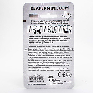 Reaper Miniatures: 03960 - Oman Ruul, Wizard Dark Heaven Legends Fantasy Metal Miniature