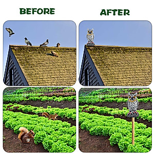 3 Pack Fake Owl Decoy to Keep Birds Away - Plastic Horned Owl Statues Bird Scarecrow Deterrents for Pigeon Hawk Squirrels Woodpecker, Halloween Decoration, Bird Scare Devices for Garden Outdoor Yard