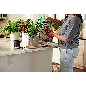 Miracle-Gro Indoor Potting Mix, 16 qt.