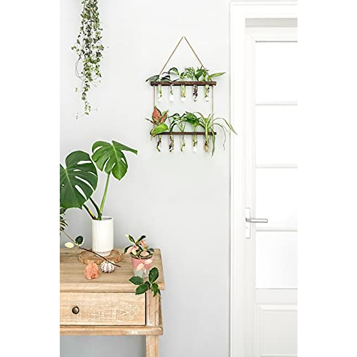 Mkono Plant Propagation Tubes, 2 Tiered Wall Hanging Plant Terrarium with Wooden Stand Mini Test Tube Flower Vase Glass Planter for Hydroponic Plant Cutting Home Garden Office Decor Plant Lover Gift