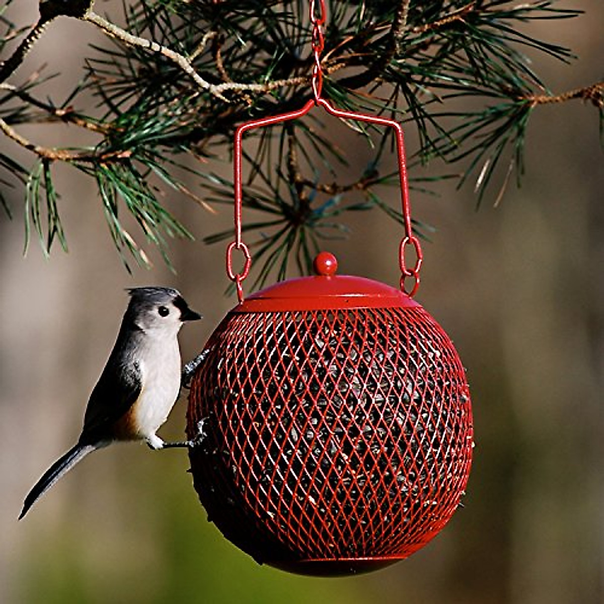 Perky-Pet RSB00343 Red Seed Ball Wild Bird Feeder