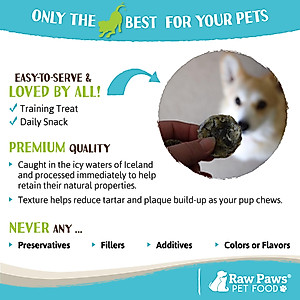 Raw Paws Cod Skin Rolls for Dogs, 5-oz – Icelandic Cod Skins for Dogs - Fish Skins for Dogs - Fish Skin Chews for Dogs - Cod Skin Dog Treats - Cod Treats for Dogs - Dried Fish Dog Treats - Fish Treats