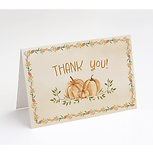 M Market On Mainstreet Pumpkin Patch Invitations & Thank You Cards, Including Envelopes, 25 Count, Made In The U.S.A. (Thank You Cards)