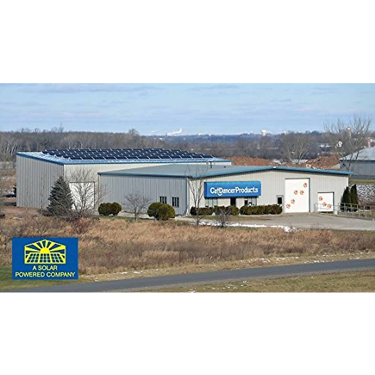 Cat Dancer Products Catnip Interactive Cat Toy for Exercise, 2 Toys in 1, Double Ended for Twice The Fun