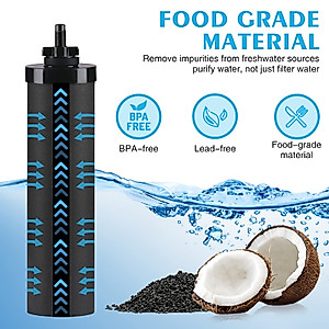 Water Filter Replacement for Water Filter, Black Activated Carbon Filters and 2 Fluoride Filters Compatible with Big, Light, Imperial, Travel, Crown and Royal Series