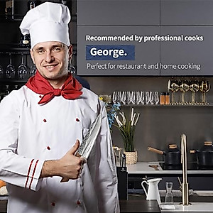 Professional Hand Forged Japanese Chef Knife 8 inch Kitchen Knives Super Sharp High Carbon Stainless Steel Chefs Knife Comfortable Cocobolo Wooden Handle with Gift Box