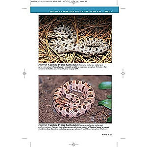 U.S. Guide to Venomous Snakes and Their Mimics