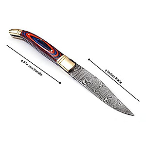 Damascus steel folding knife with leather sheath, 8.5 inches long laguiole pocket knife with 4 inches long Damascus steel Blade, 4.5 inches Blue multi colored wood scale with Brass bolster and pommel,