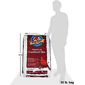 Meadow Ridge Farms Deluxe Cardinal Bird Seed Mix, 35-Pound Bag