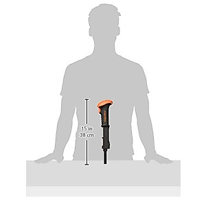 ITW Brands 40066 .22 Caliber Trigger Shot Tool