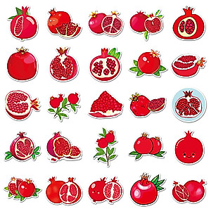 Pomegranate Stickers for Kids Girls Boys Teens|50 Pcs| Aesthetic Waterproof Vinyl Stickers for Laptop Water Bottle Phone Cup Tablet Luggage Car Flasks, Unique Fruit Decals Pack(Pomegranate-50Pcs)