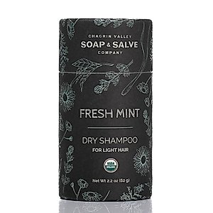 Chagrin Valley Soap & Salve Organic Natural Dry Shampoo Powder – for Light Hair - Absorbs Oil, Adds Volume & Refreshes Hair Between Washes – Vegan – No Talc – Fresh Mint Light Hair Dry Shampoo