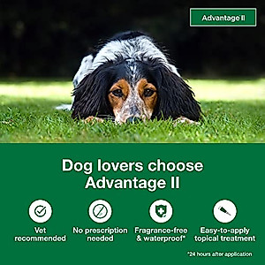 Advantage II Medium Dog Vet-Recommended Flea Treatment & Prevention | Dogs 11-20 lbs. | 4-Month Supply