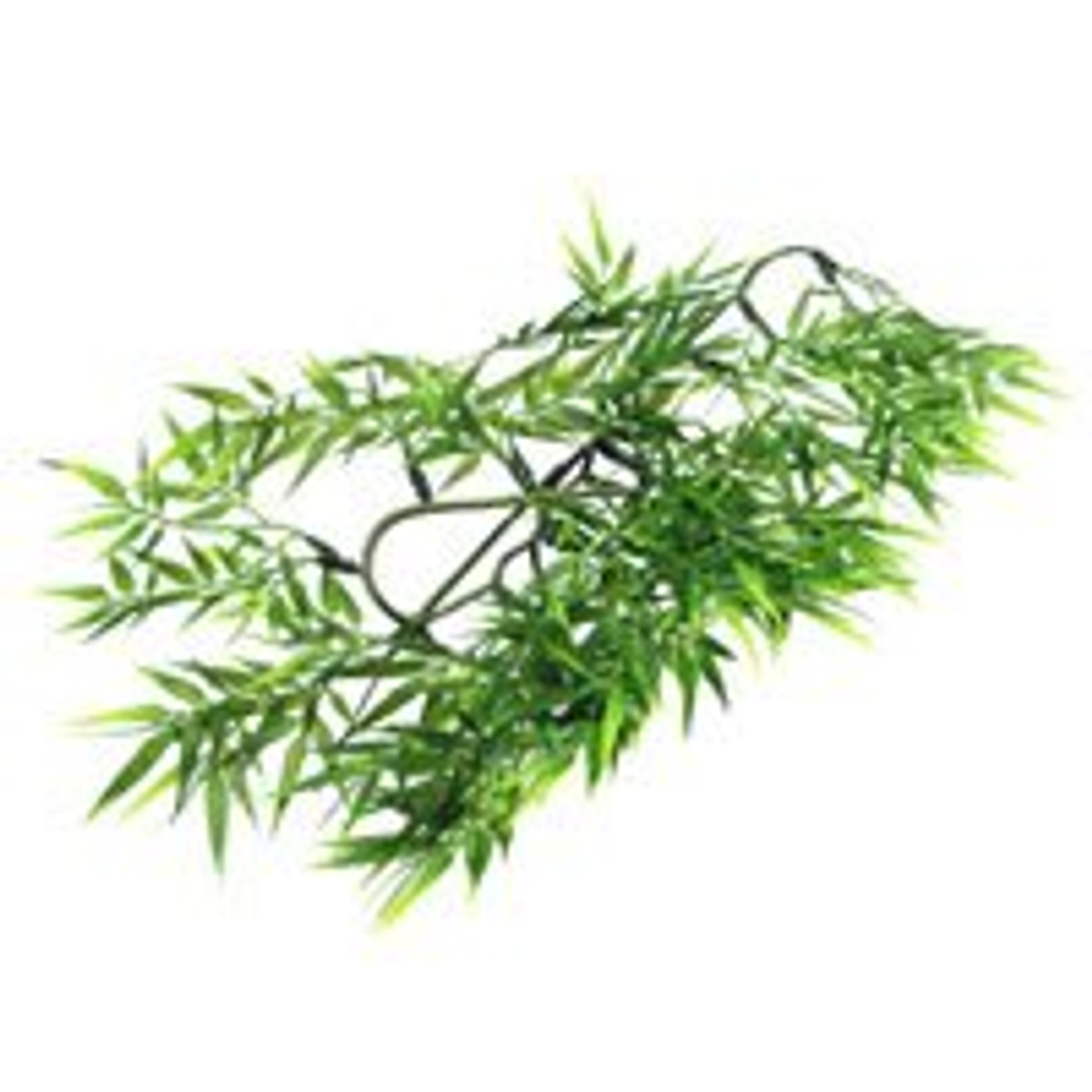 Zoo Med Laboratories SZMBU19 Natural Bushy Madagas Bamboo, Small