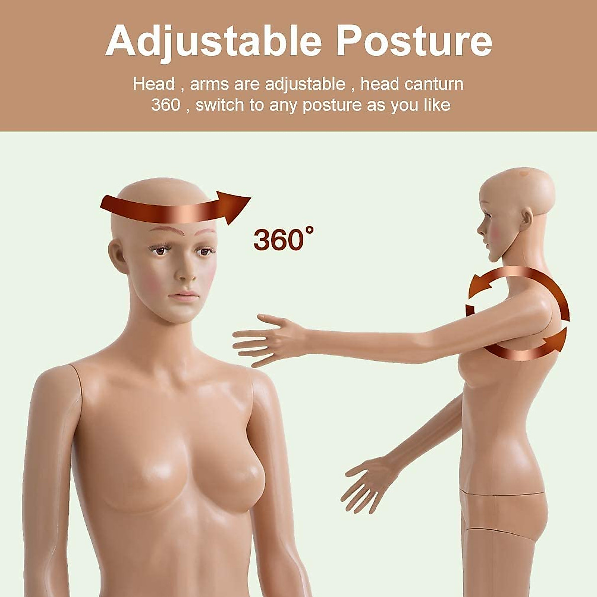 FLL Mannequin Torso, Clothing Form Full Body Manikin Female 69 inch Adjustable Detachable Stand Realistic Display with Metal Base Plastic Head Arm Turns Stand, Beige (FLL-01)