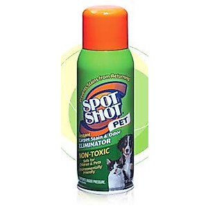 PET STAIN/ODOR RMVR 14OZ
