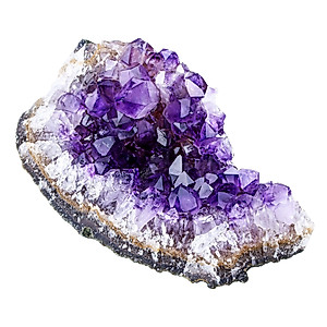 Jovivi Bundle - 2 Items Amethyst Clusters Natural Raw Geode Healng Crystals Stone + Amethyst Crystal Tree Raw Healing Crystals Fluorite Base Bonsai