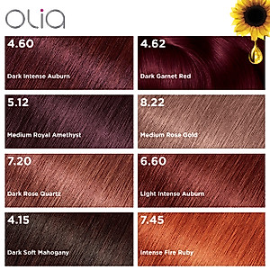 Garnier Hair Color Olia Ammonia-Free Brilliant Color Oil-Rich Permanent Hair Dye, 4.60 Dark Intense Auburn, 2 Count (Packaging May Vary)